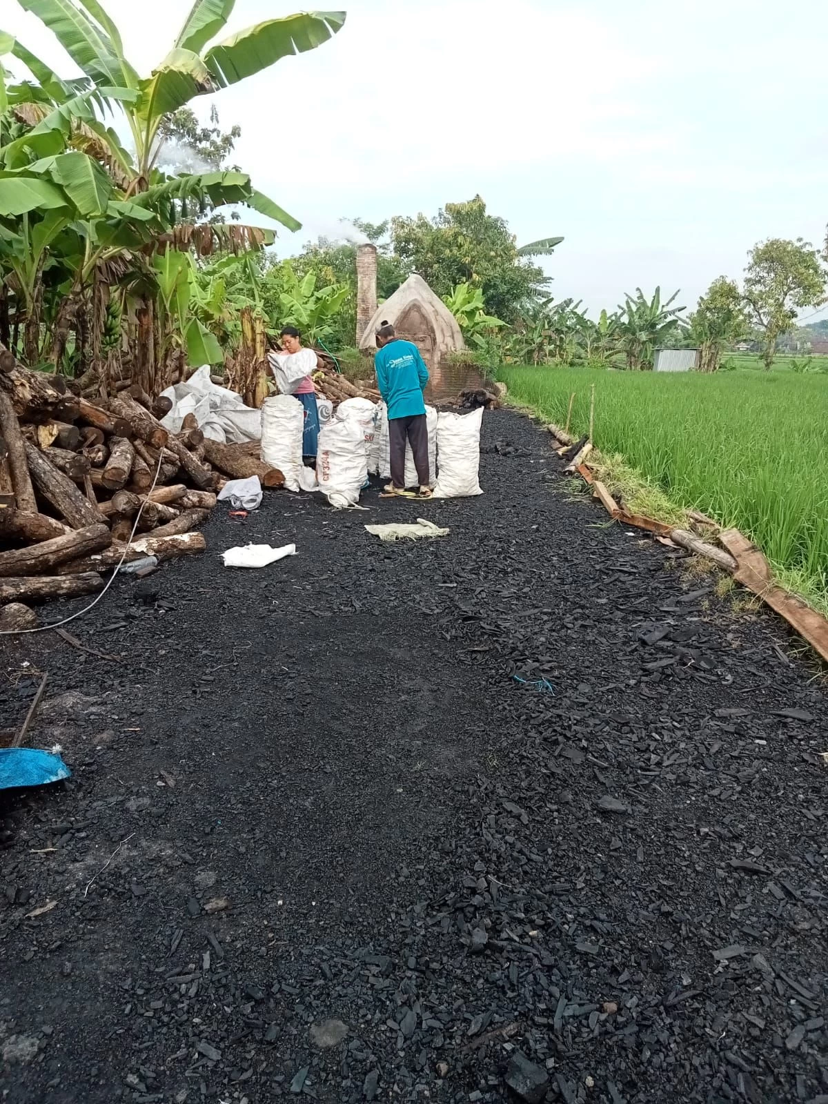 PT. Global Utama Kalimantan | Semi Husked Coconut Supplier from ...
