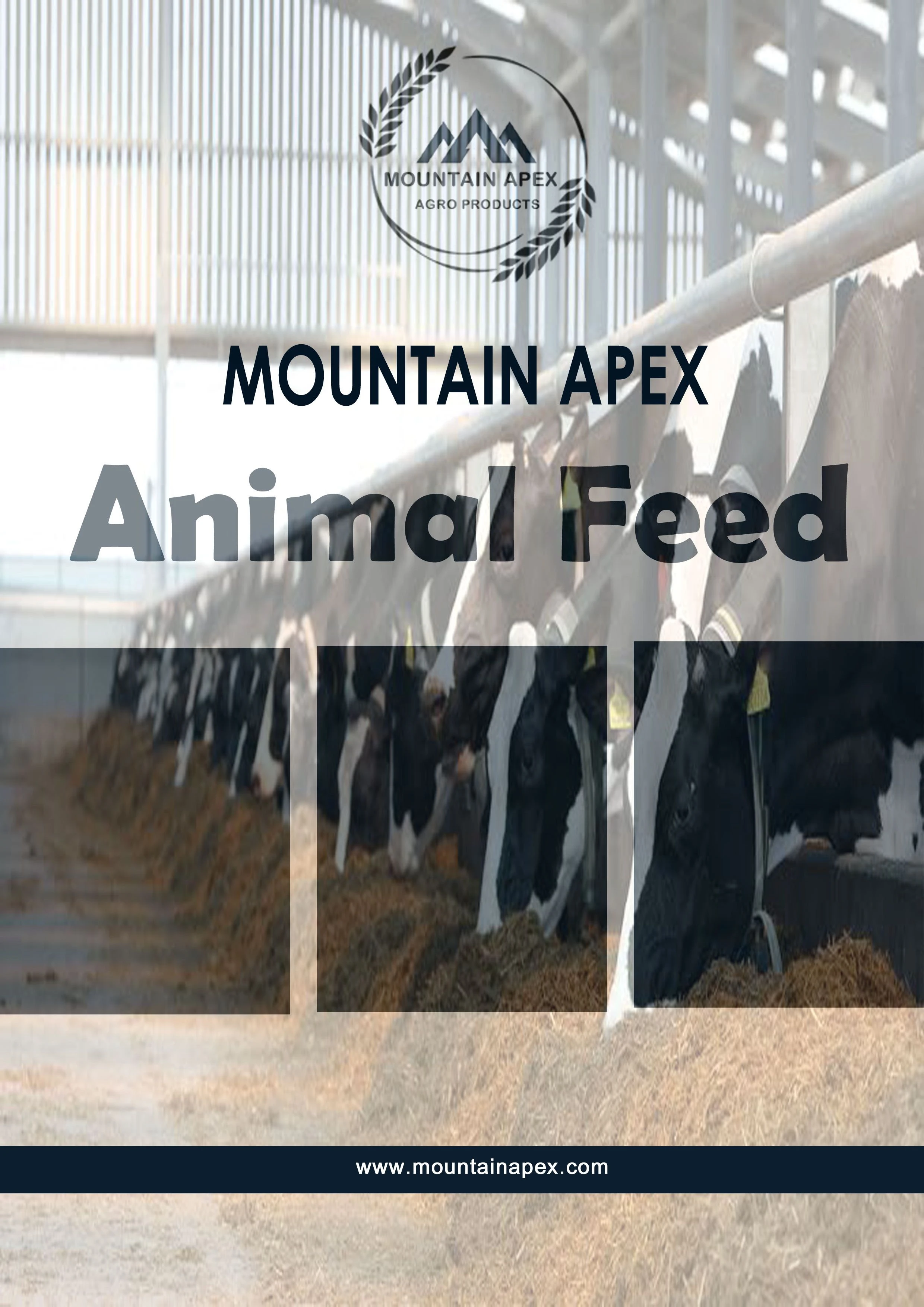 Mountain Apex, Egypt | TradeWheel