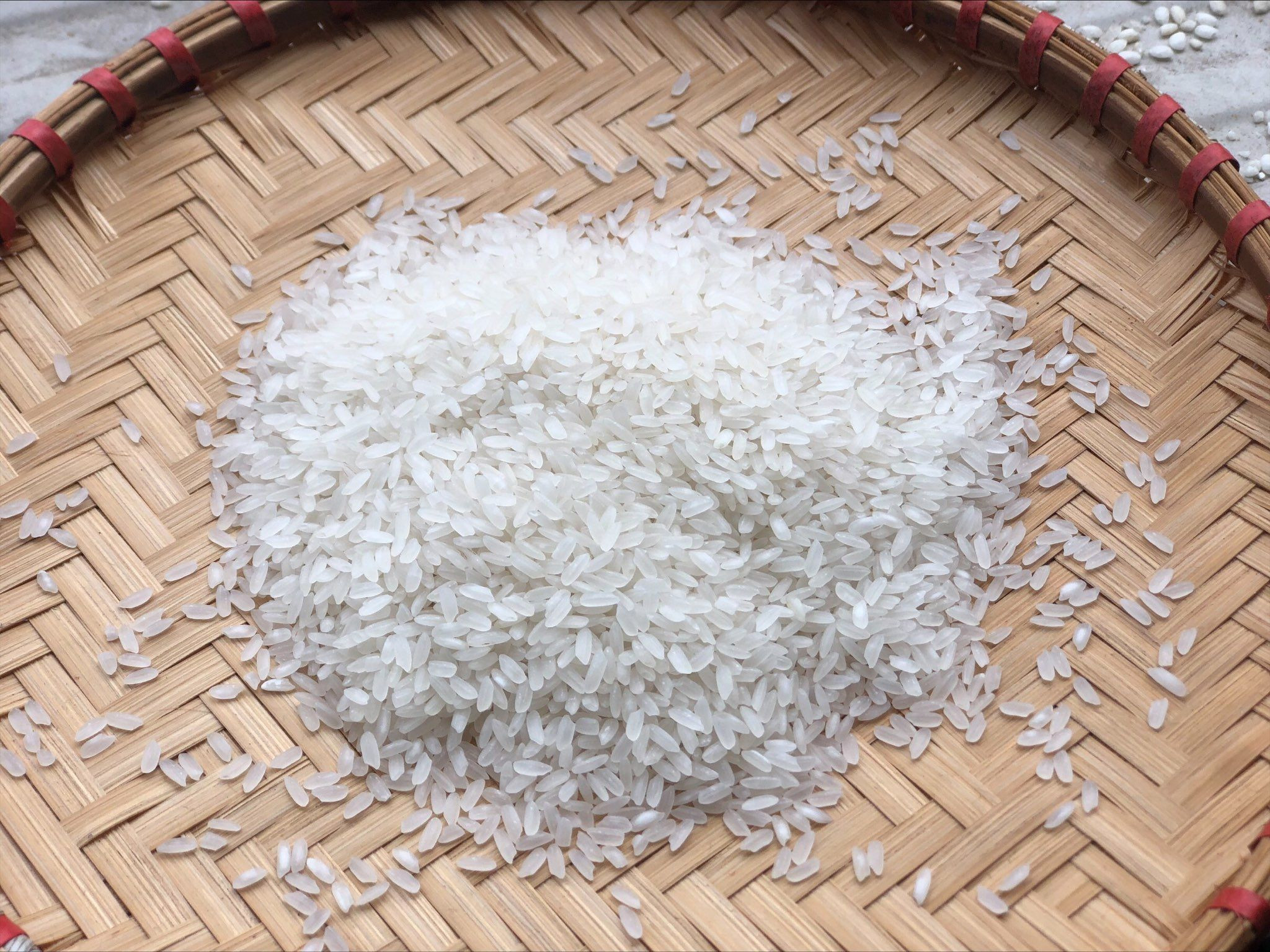 Buy Biggest Distributor Of Japonica Rice Short Grain Round Calrose Rice ...