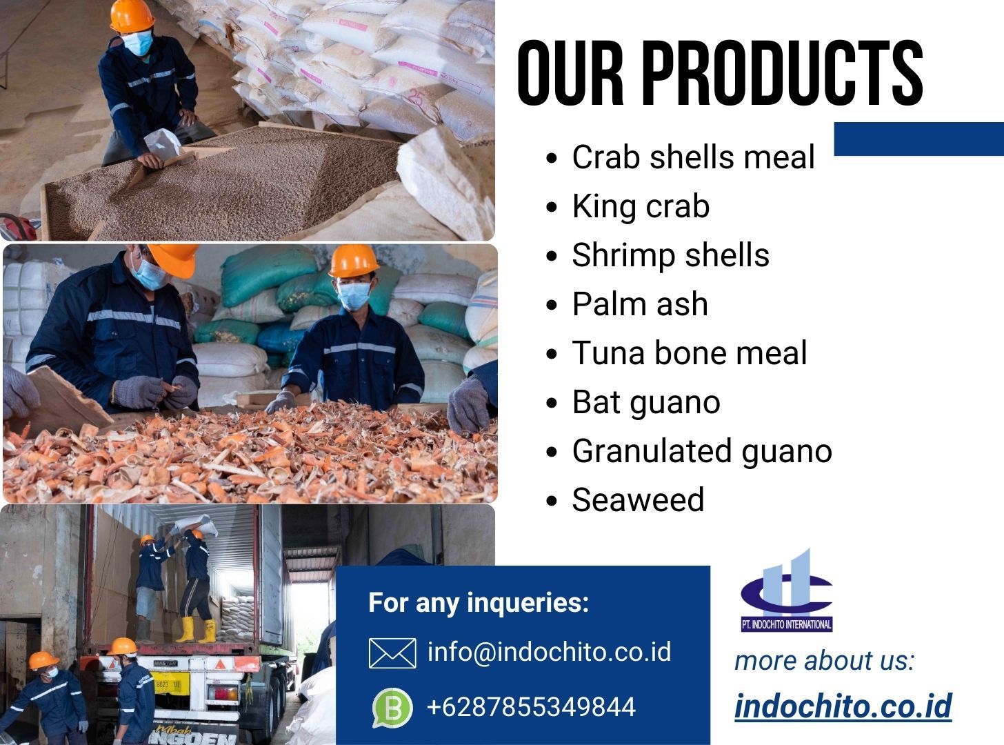 Buy 100% Pure Bat Guano from PT Indochito International, Indonesia ...