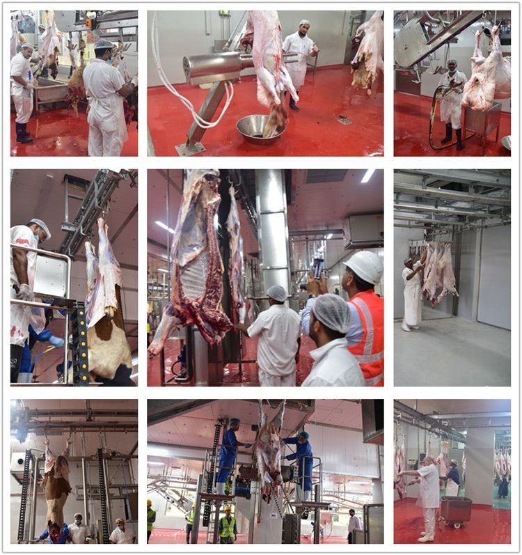 Buy Halal Cattle Slaughterhouse With Beef Butcher Abattoir Meat Process Machinery from Onestop ...