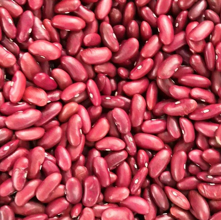 Buy Red kidney bean,white kidney bean, Black kidney bean Light speckled ...