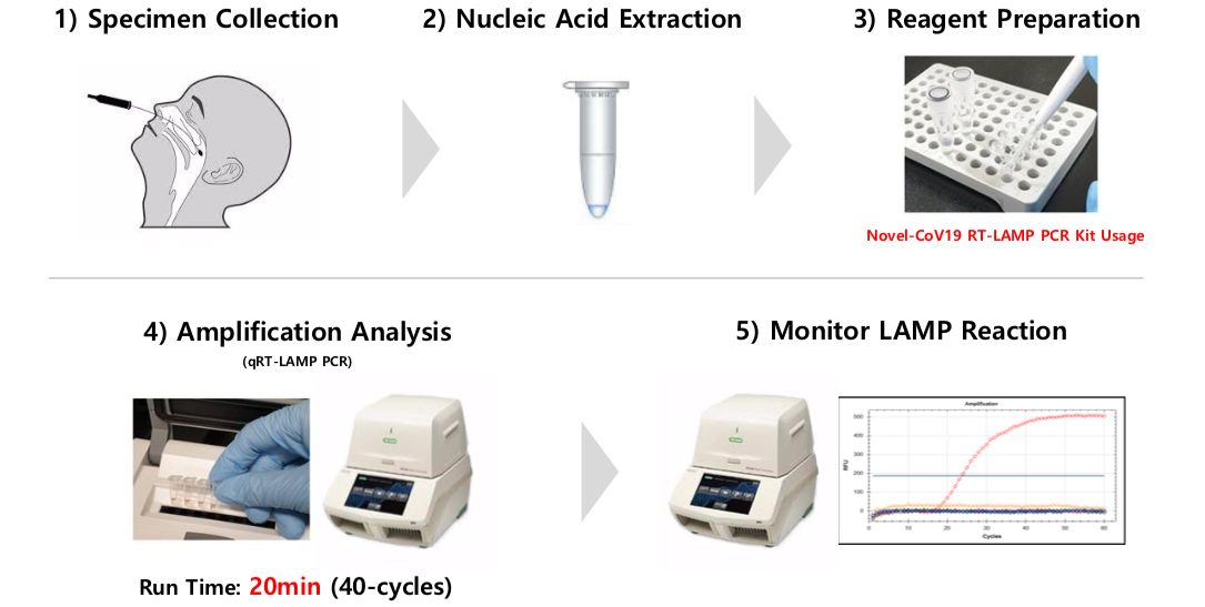 Buy Novel Cov19 Rt-lamp Pcr Kit ((covid-19 Test Kit-south Korea)) from ...