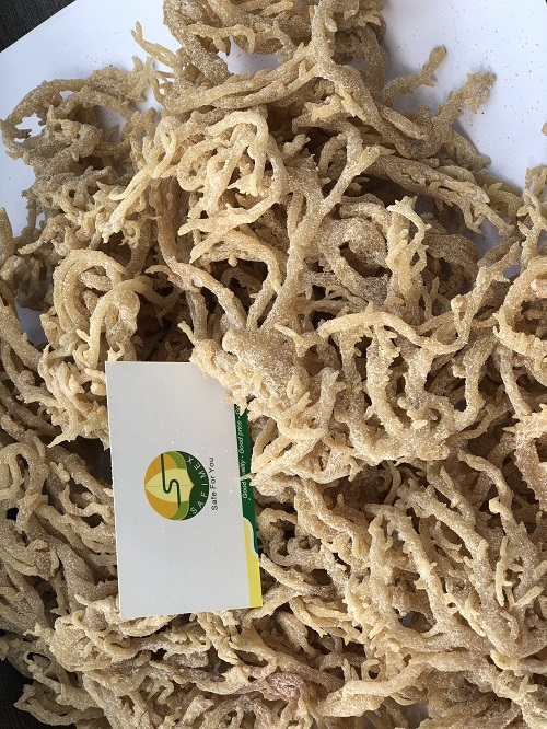 Buy Dried Eucheuma Cottonii Seaweed / Irish Moss / Seamoss From Vietnam ...