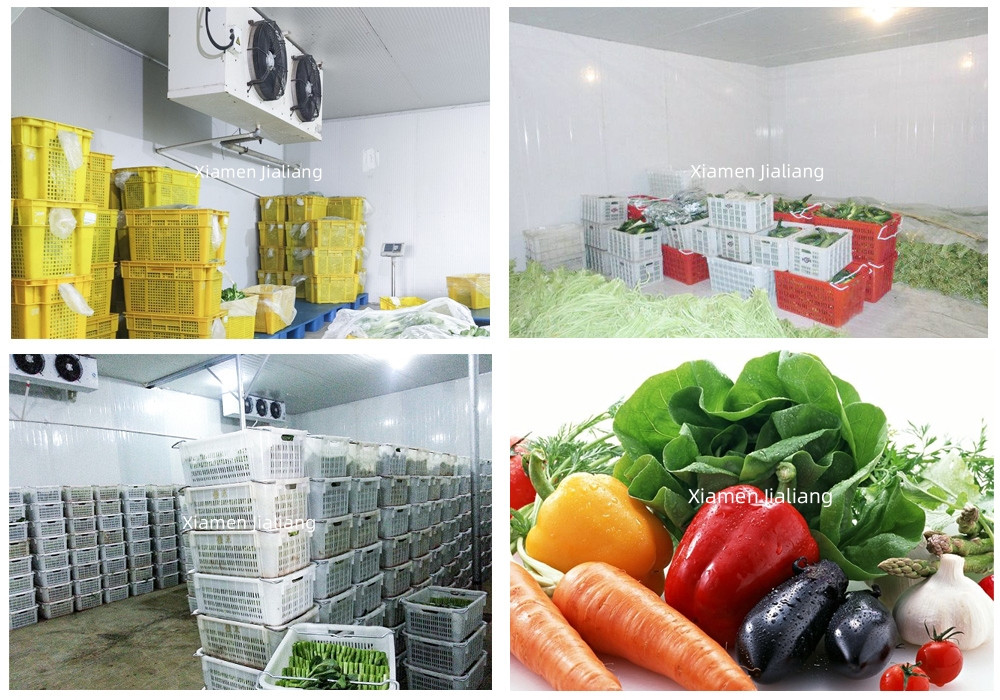 Buy Fresh Keeping Vegetables Beautiful Cold Room from XIAMEN JIALIANG ...