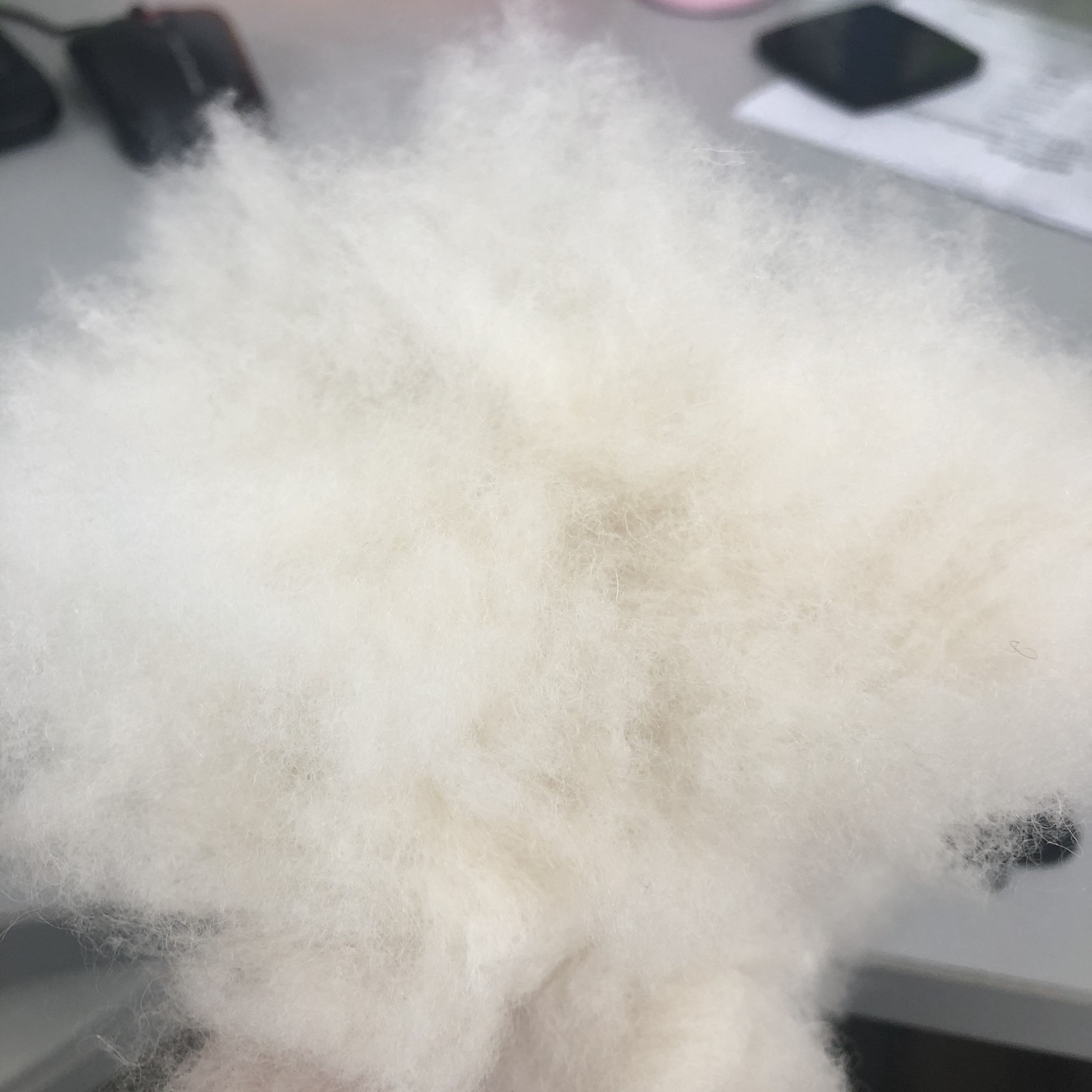 Buy Carded Sheep Wool Waste Scoured Wool Noils For Carpet Yarn from ...