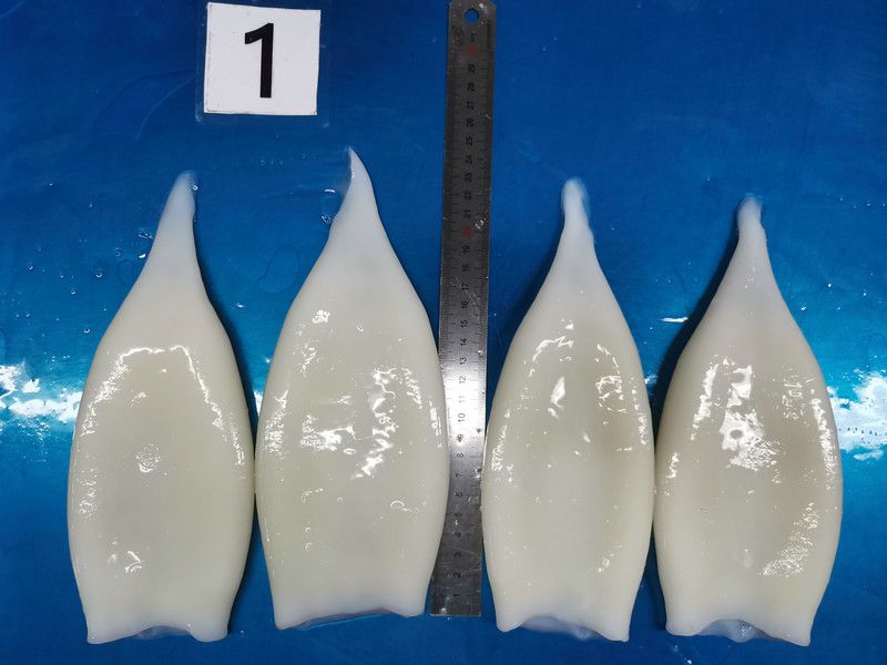 Buy Frozen Squid Tube from Yantai East Food Storage CO., ltd, China ...