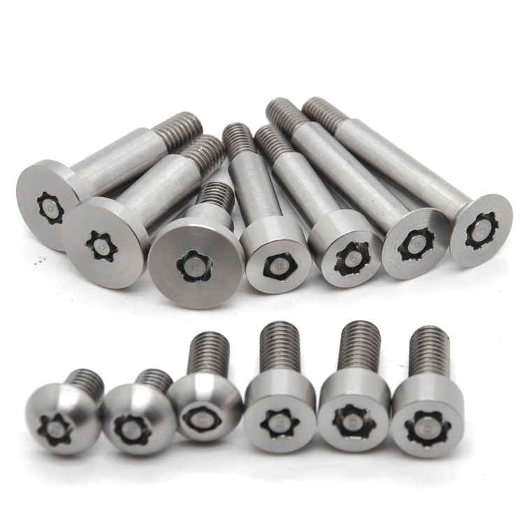 Buy Custom Stainless Steel Tamper Proof Anti-theft Tamperproof Safety ...