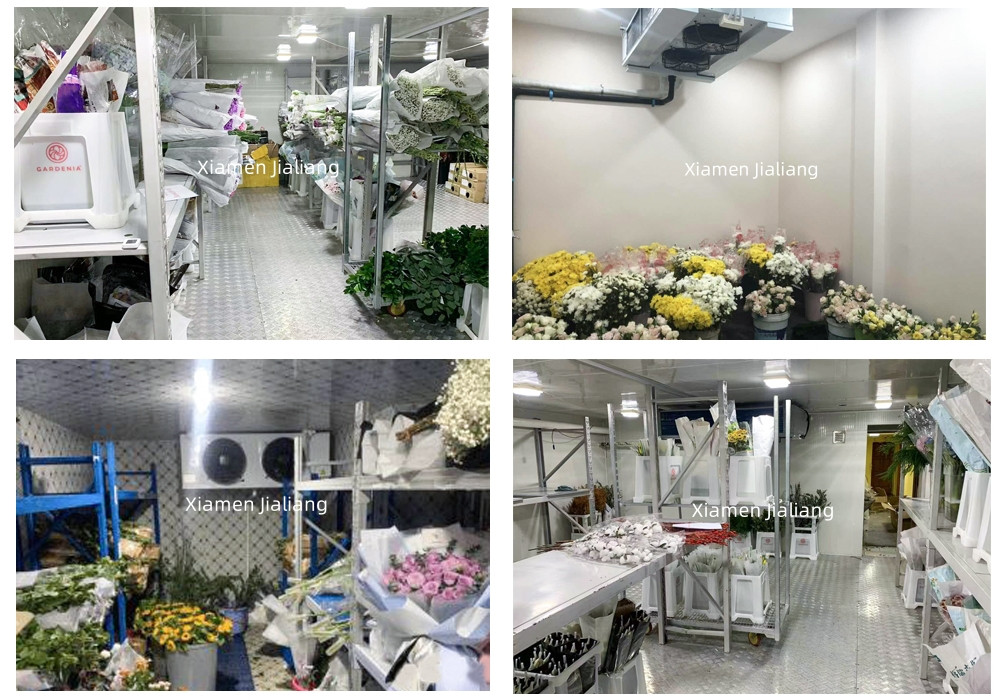 Buy New Design Flower Storage Easy To Install Cold Room In Australia ...