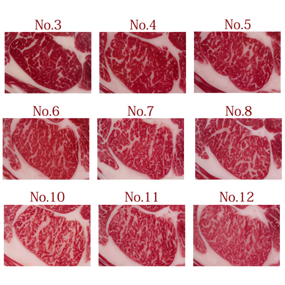 Buy Japanese Wagyu Beef Hind Leg Meat Hindquarter Bottom Round Ham Top ...