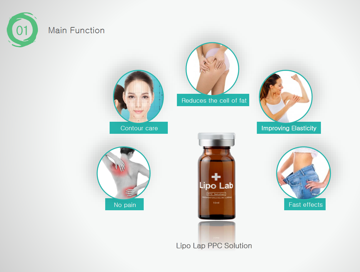 Buy Lipo Lab Ppc Solution Fat Dissolving Injection from HJ Corporations ...