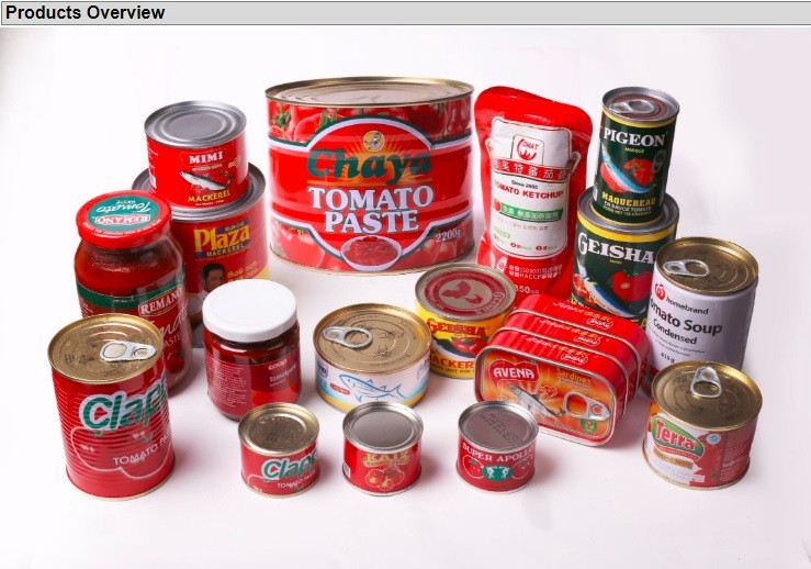 Buy Best Chinese Canned Mackerel Tin Fish 425g*24 In Tomato Sauce With ...