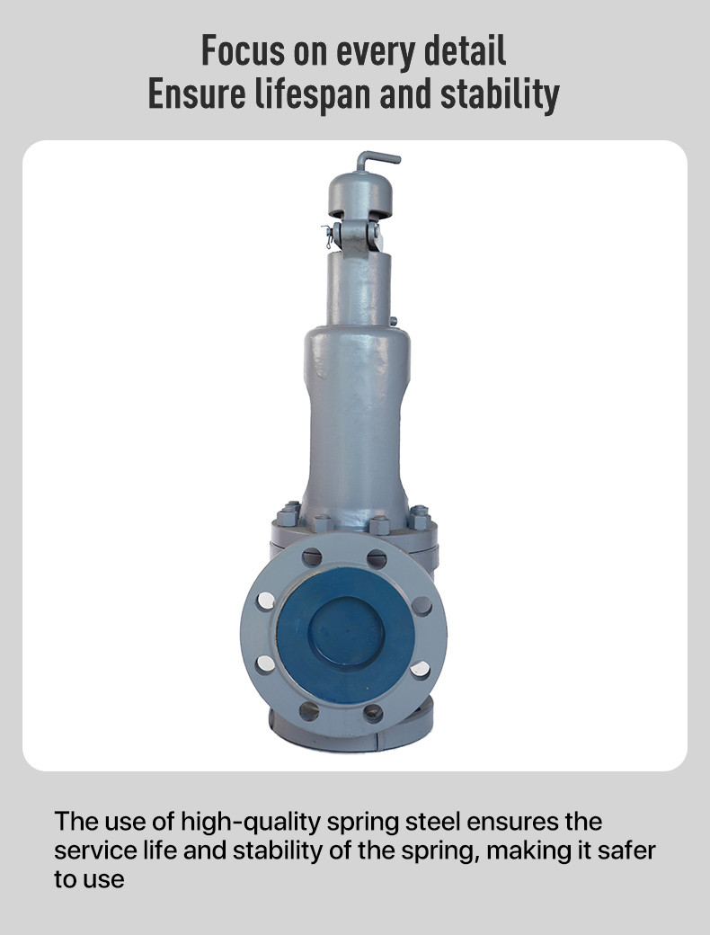 Buy Boiler Steam Pressure Relief Valves Stainless Steel Ss Spring ...