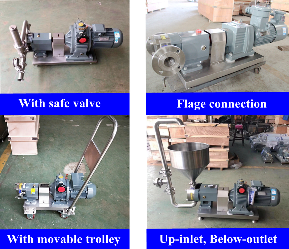 Buy Cam Fuel Pump Eccentric Rotor Pump Stainless Steel Lobe Pumps from ...