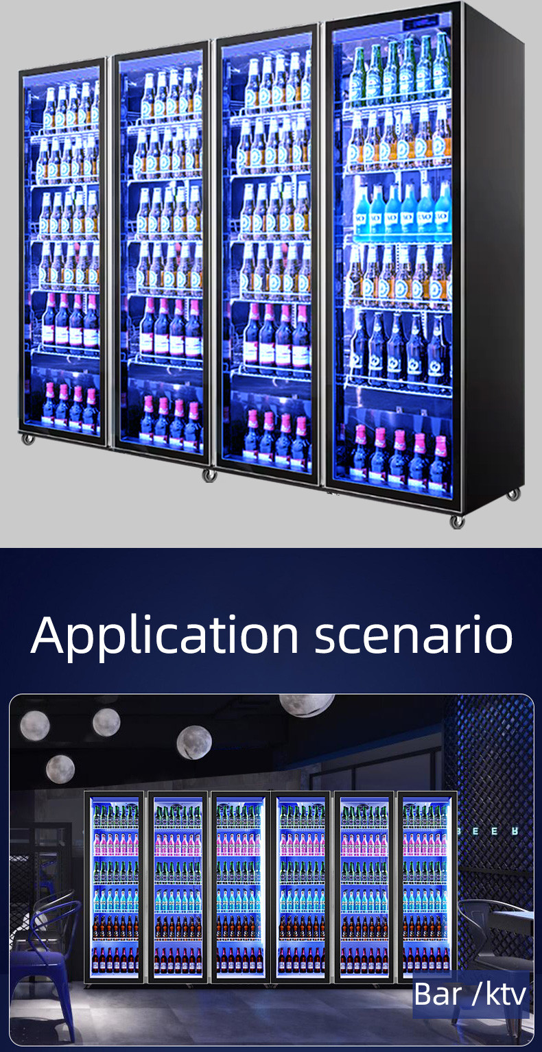 Buy Commercial Display Drink Fridge Two Door Display Fridge Shop ...