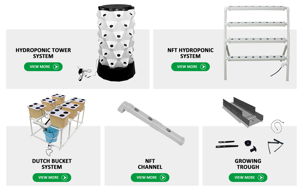 Buy Complete Hydroponics System Dutch Bucket Growing Vegetable In ...