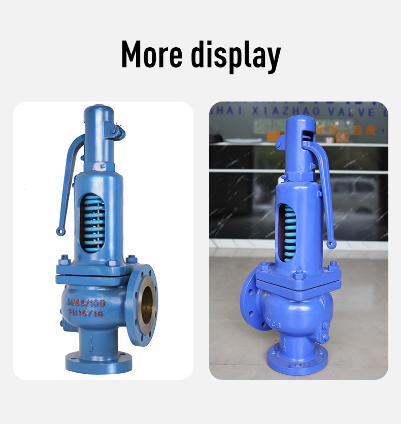 Buy Custom Logo Din Spring Loaded Pressure Safety Valve Dn65/100 Safe ...