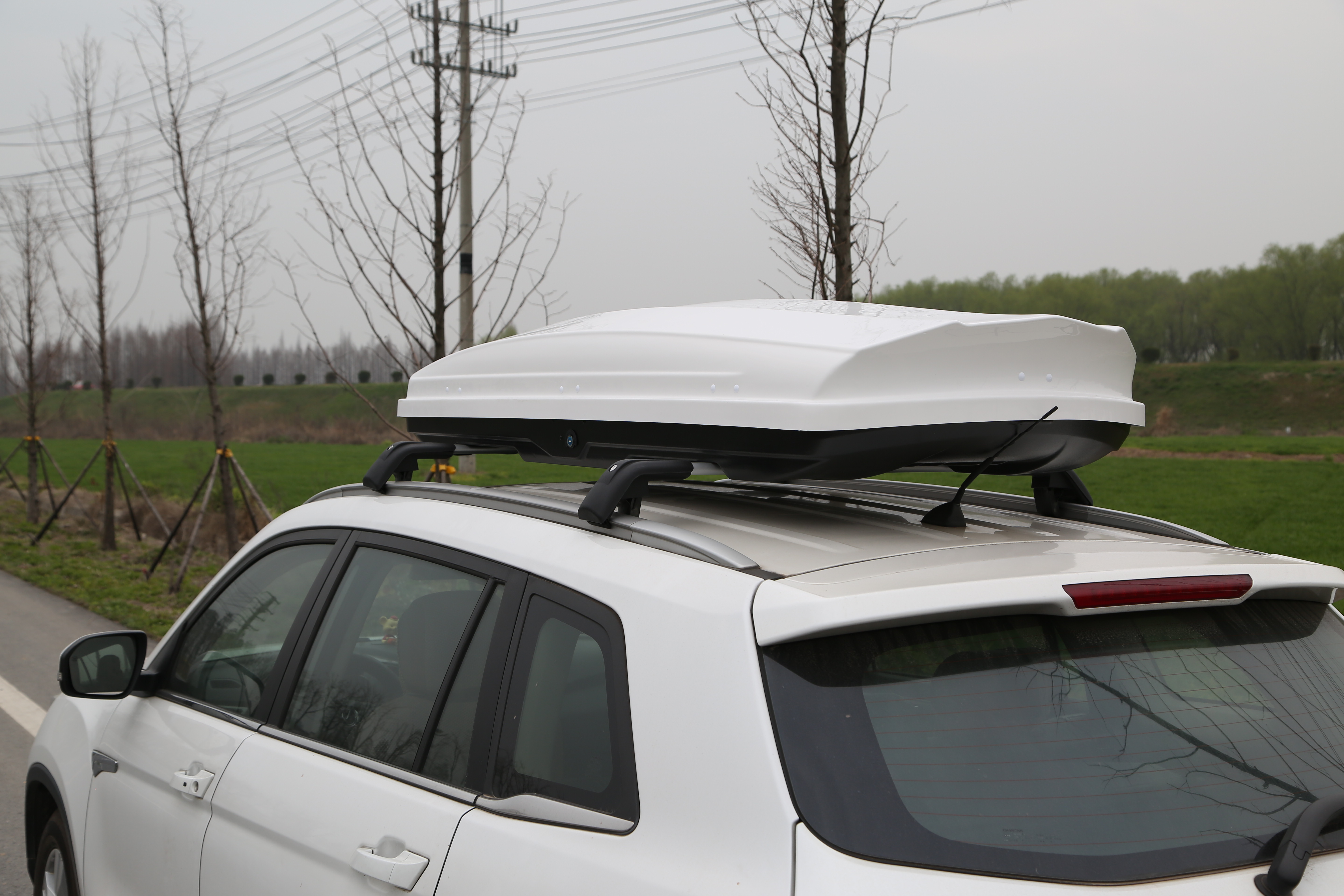 Buy Custom Shape Abs Plastic Roof Top Storage Car Roof Cargo Boxes from ...