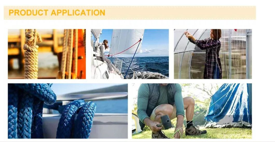 Buy Diamond Rope Pp Multifilament Braided White Color from Taian Jiaxin ...