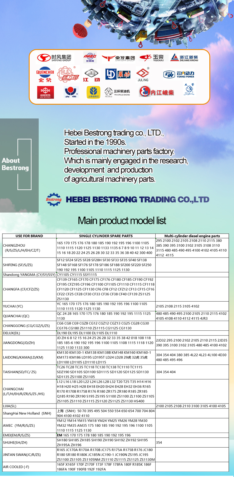 Buy Diesel Engine S1100 Zs1110 Zs1115 L24 L28 Zs1125 Parts C0506c Fuel ...