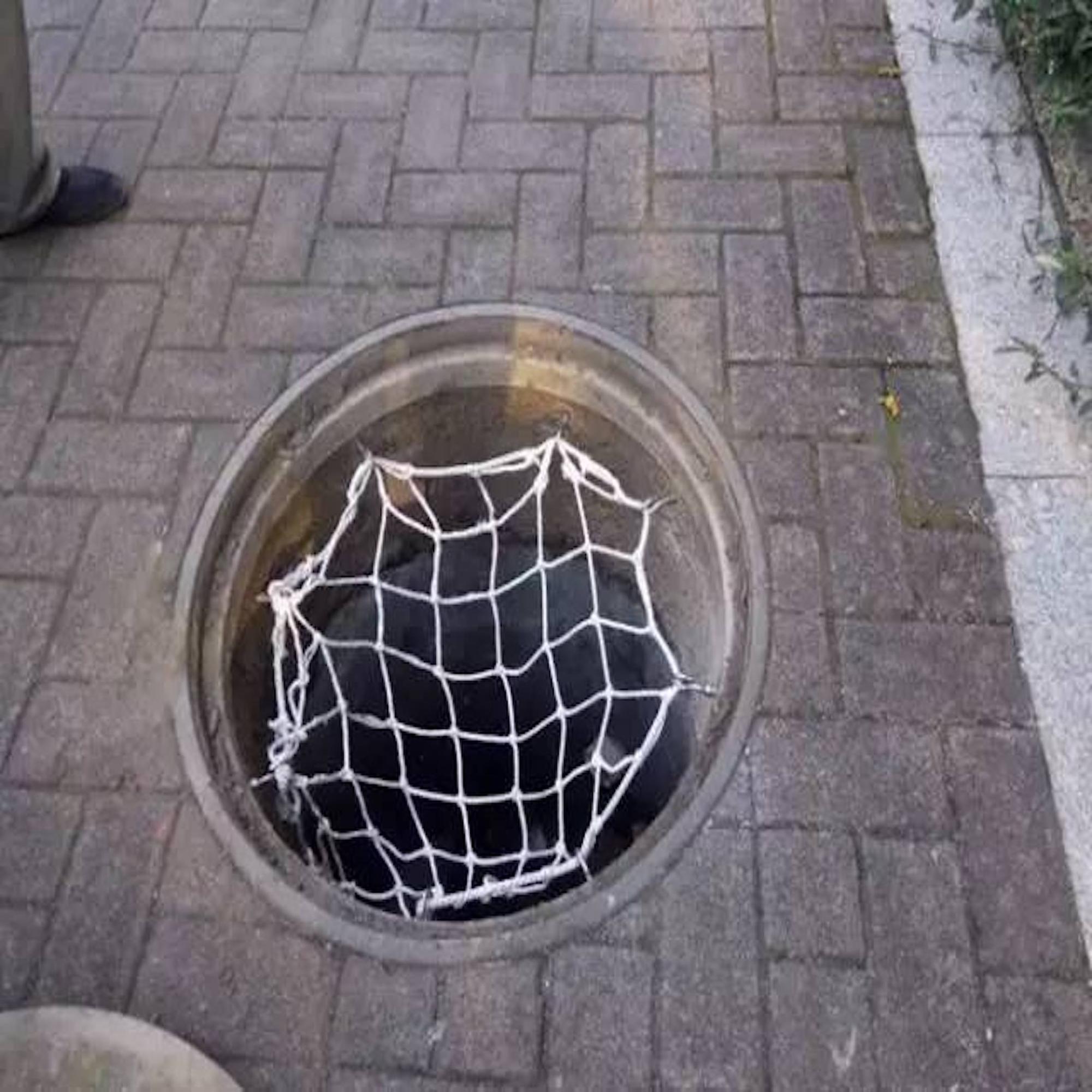 Buy Drainage Holes Fall Arrest Safety Nets Fall Protection Equipment ...