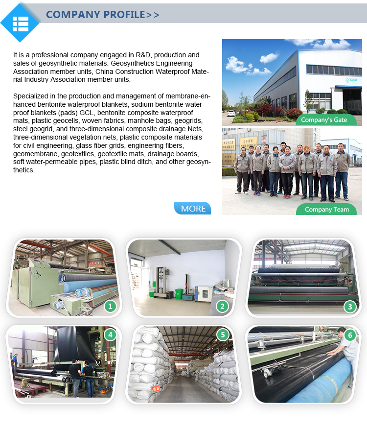 Buy Earthwork Products Bentonite Waterproof Blanket Geosynthetics Clay ...
