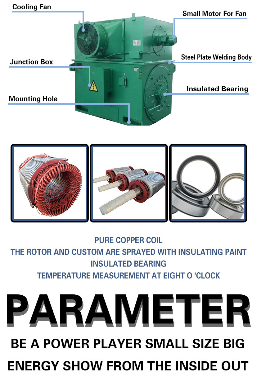 Buy Factory Abb Induction Motor 6.6kv 11kv High Voltage Ev Electric ...