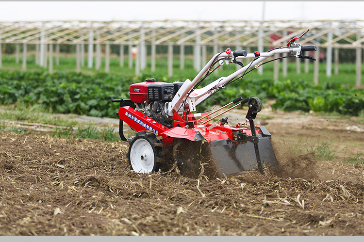 Buy Four-wheel Drive Micro Tillage Machine Automatic Clutch Stepless ...