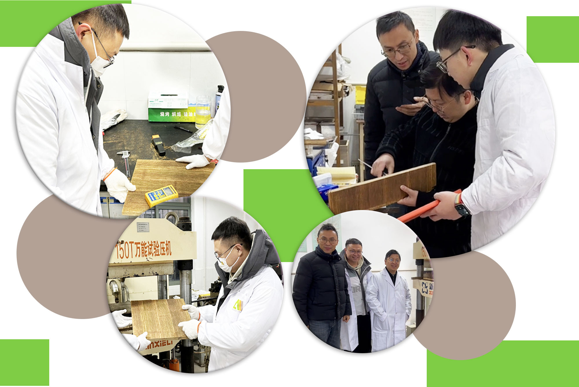 Buy Free Splinter Outdoor Privacy Screens Fencing Trellis Cracking ...