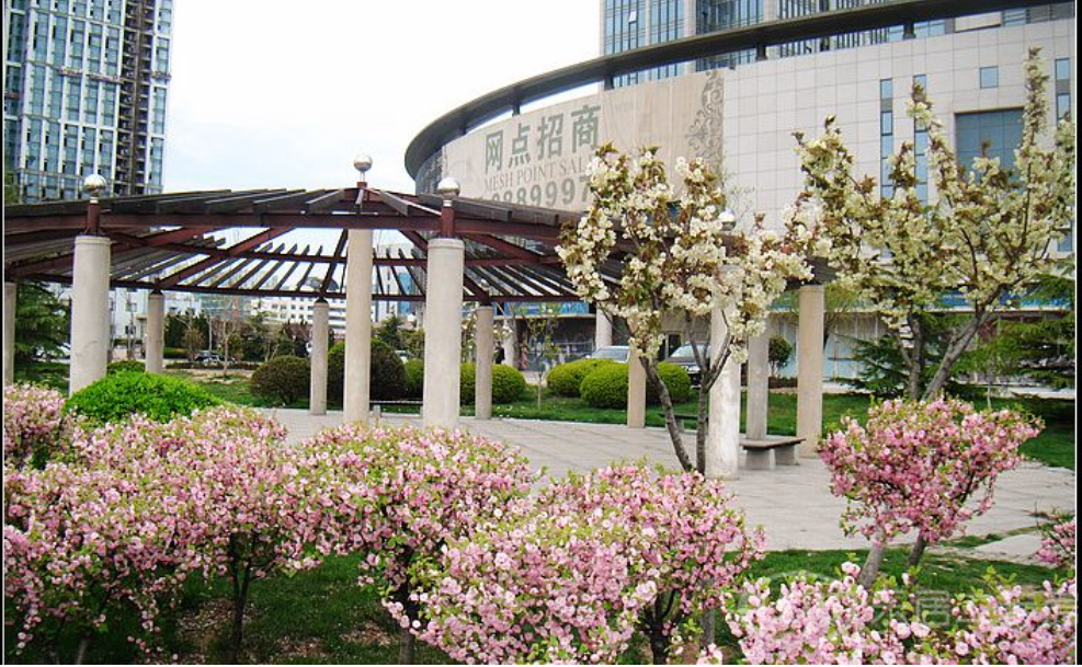 Buy Frozen Whole Duck Without Head&neck Poultry Meat from Qingdao ...