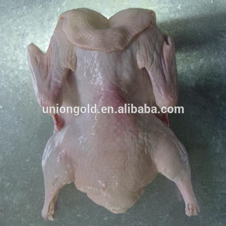 Buy Frozen Whole Duck Without Head&neck Poultry Meat from Qingdao ...