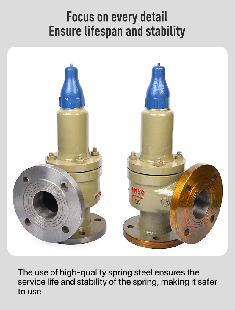 Buy Fully Enclosed Safety Valve High Pressure And Temperature Valve ...