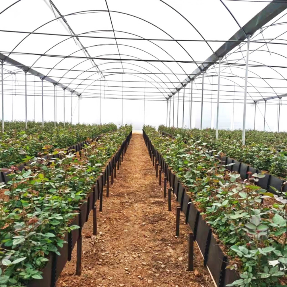 Buy Greenhouse Plastic Pp Hydroponic Grow Trough System from Tuhopeta ...