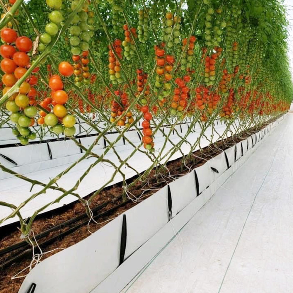 Buy Greenhouse Plastic Pp Hydroponic Grow Trough System from Tuhopeta ...