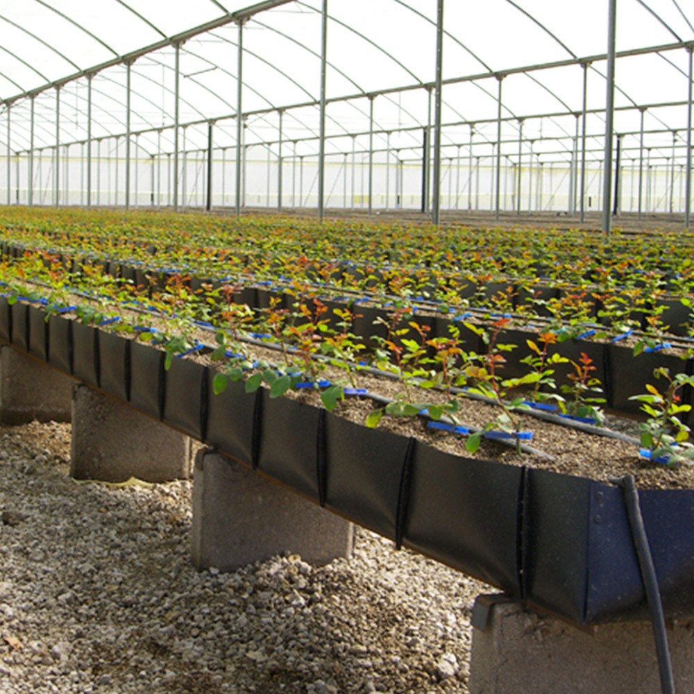 Buy Greenhouse Plastic Pp Hydroponic Grow Trough System from Tuhopeta ...