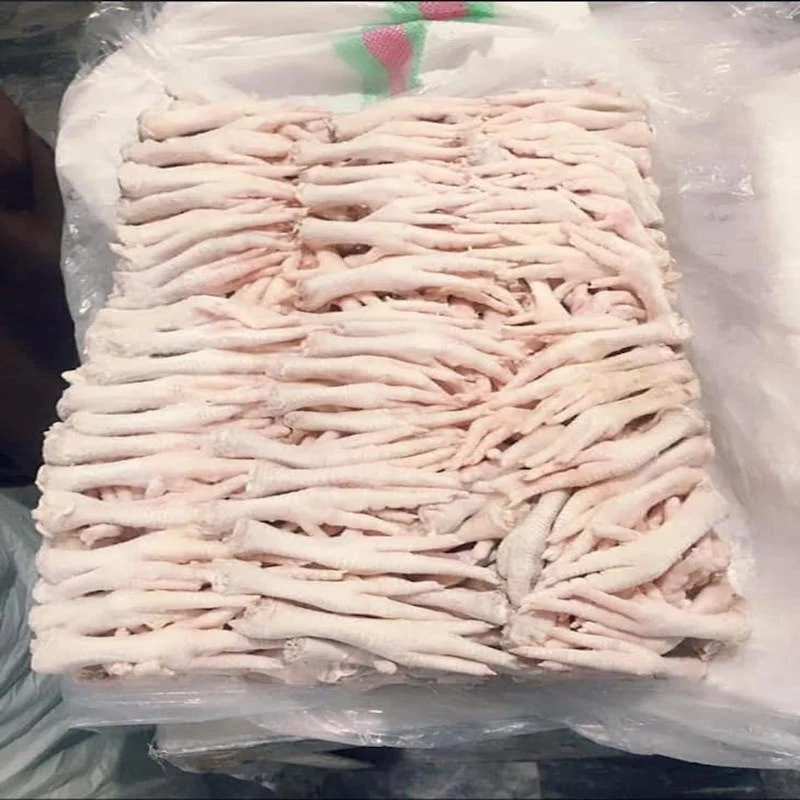 Buy Halal Frozen Chicken Paws & Frozen Chicken Feet from SBS Wholesale ...