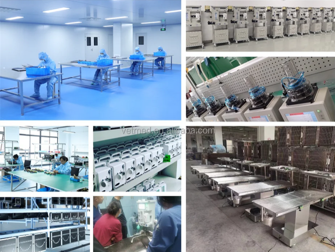 Buy Hospital Animal Tumor Radio Frequency Ablation (rfa) Treatment ...