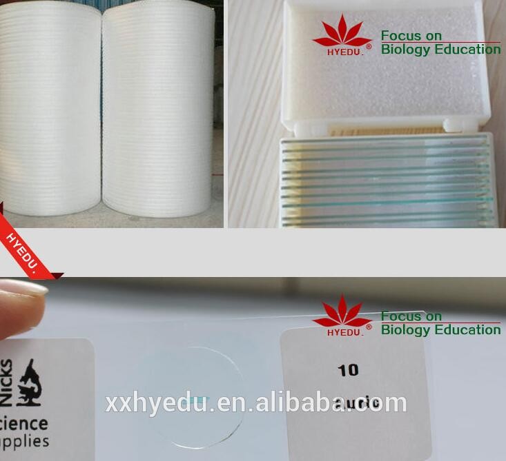 Buy Individual High Quality Tongue Sec.(show Taste Bud ) Microscope ...