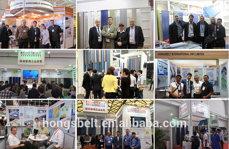 Buy Interlock Modular Plastic Belt For Metal Detector Conveyor from ...