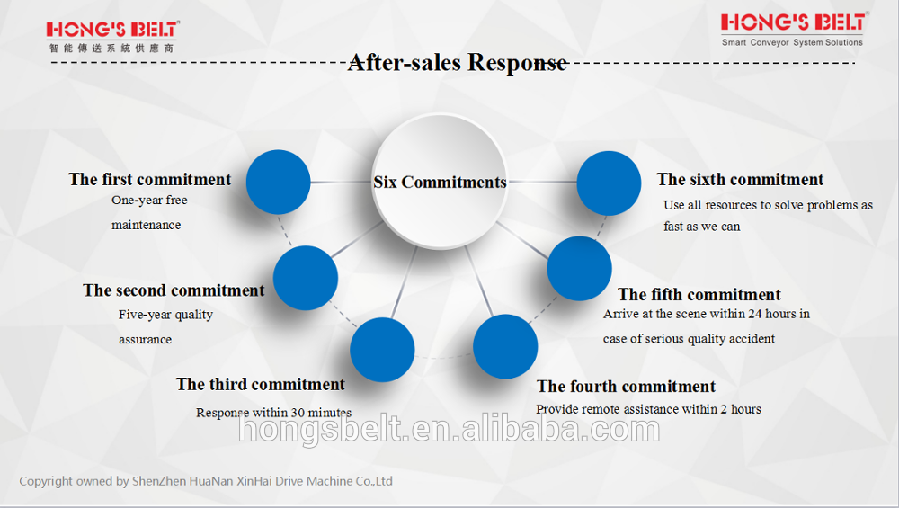 Buy Interlock Modular Plastic Belt For Metal Detector Conveyor from ...