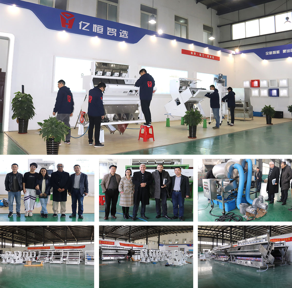 Buy Mini-sized Quartz Sand Ore Color Sorter Mineral Stones Sorting ...