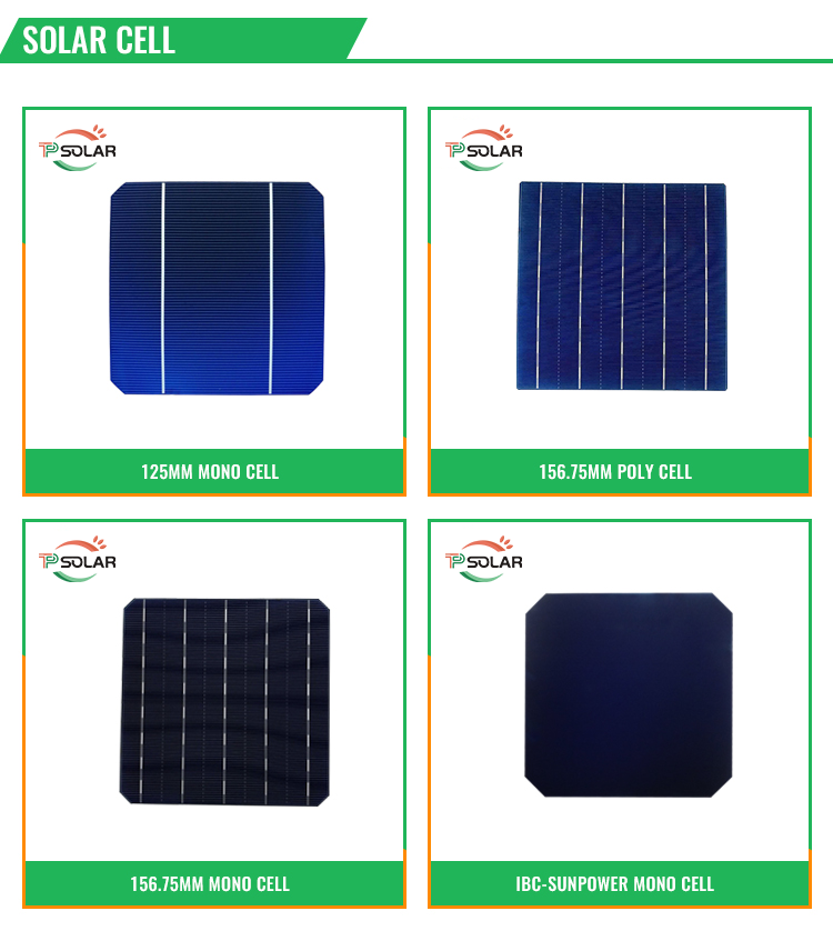 Buy Monocrystalline Solar Cell 5bb Module 6x6 Solar Cell 158 Small ...