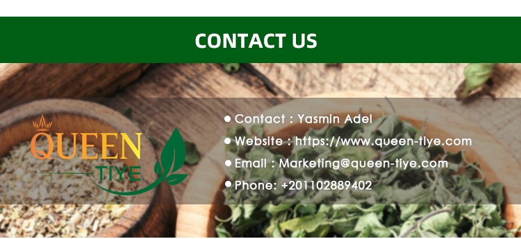 Buy Peanuts Raw In Shell High Quality Peanuts Dried Egypt Top Selling ...