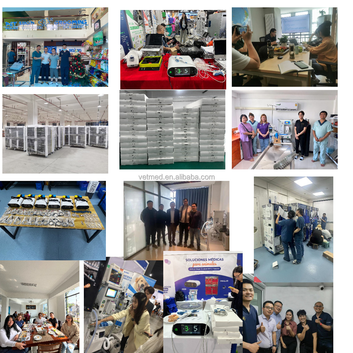 Buy Portable Animal Tumor Radiofrequency Ablation (rfa) Device ...