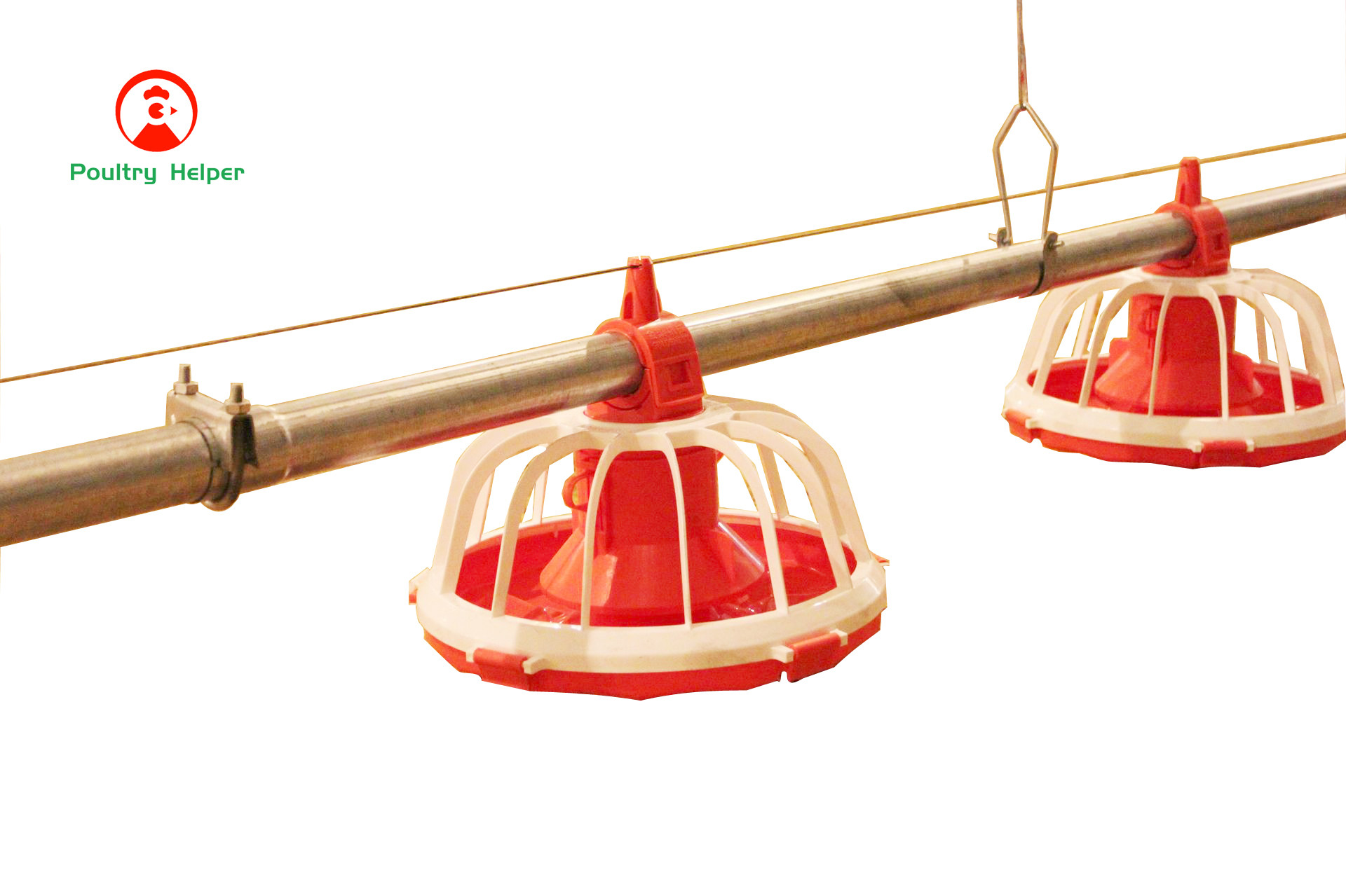 Buy Poultry Helper Farm Feeding System Broiler Feed Equipment For ...