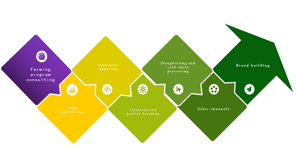 Buy Poultry Helper Farm Feeding System Broiler Feed Equipment For ...