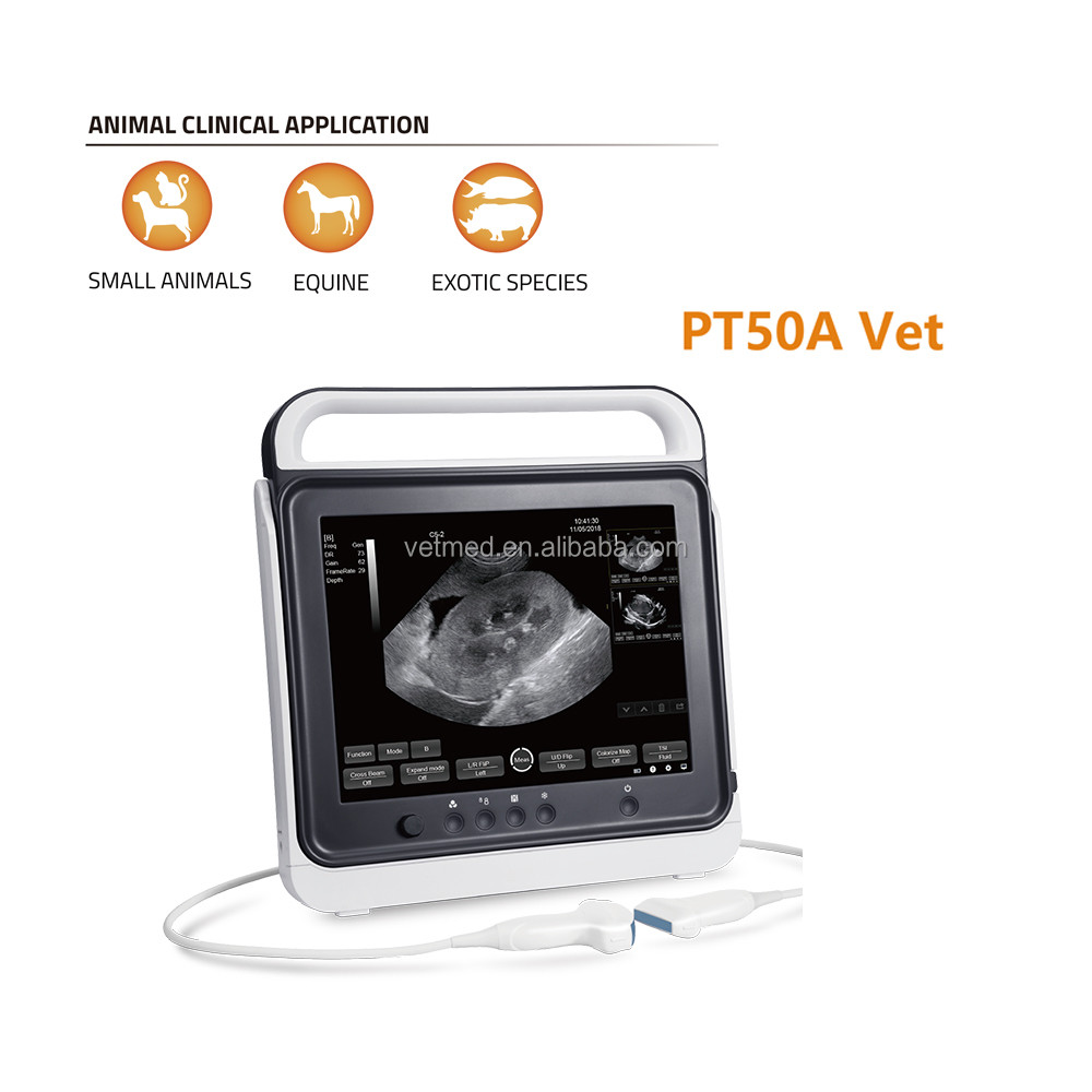 Buy Pt50a Veterinary Ultrasound Portable Ultrasound Machine Veterinary ...