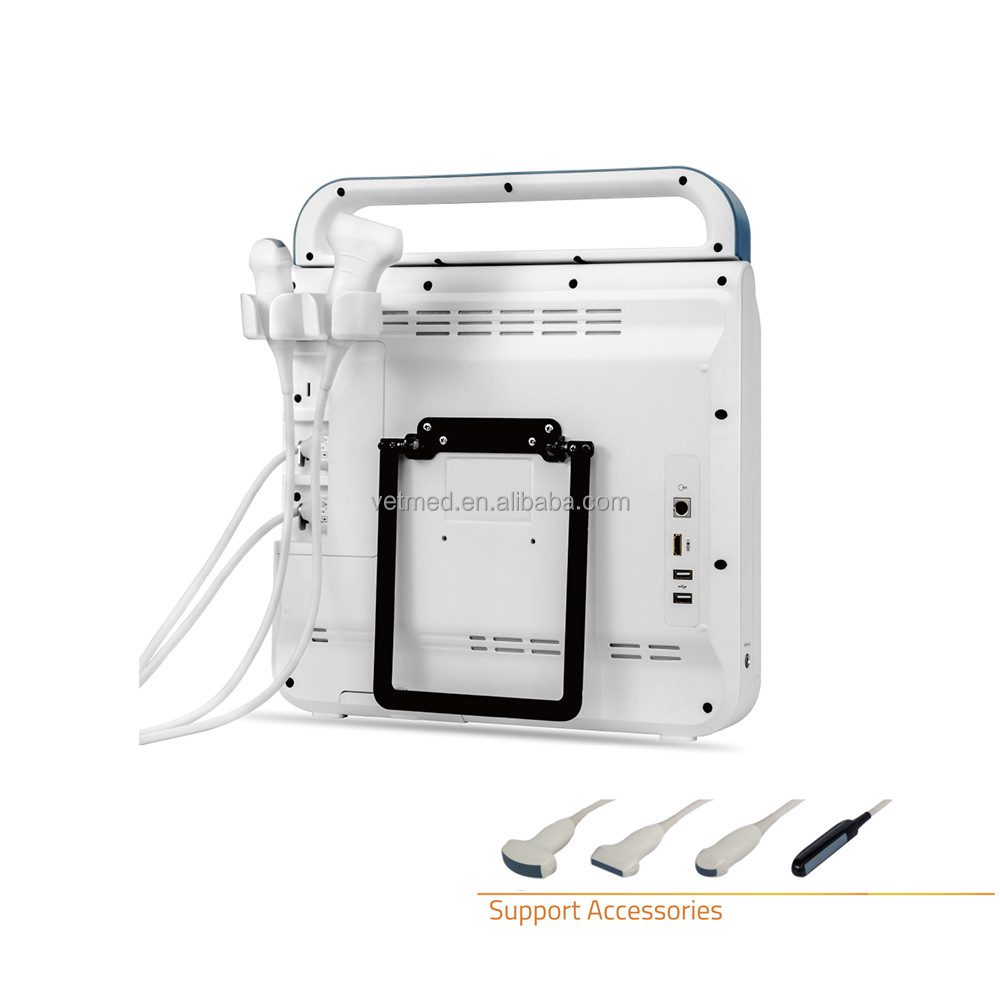 Buy Pt50a Veterinary Ultrasound Portable Ultrasound Machine Veterinary ...