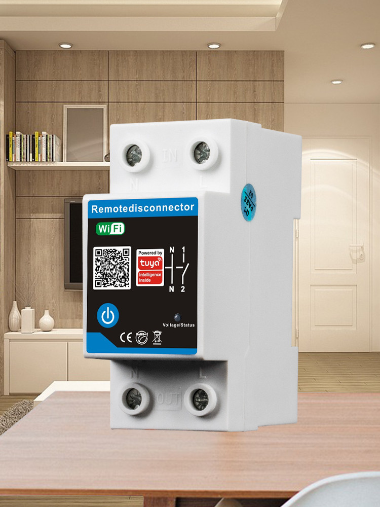 Buy Rmshebei 63a 2p Smart Circuit Breaker Wifi Enabled Mcb Tuya Smart Life App Control 220v ...