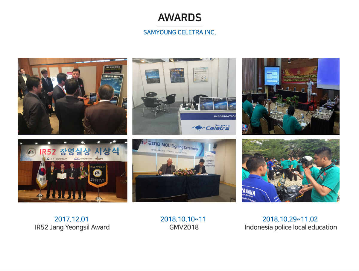 Buy [samyoung Celetra] Professional 2-way Radio Portable Walkie-talkie ...